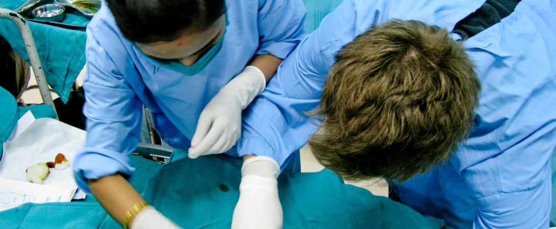 Pre-Med Programs | Projects Abroad US